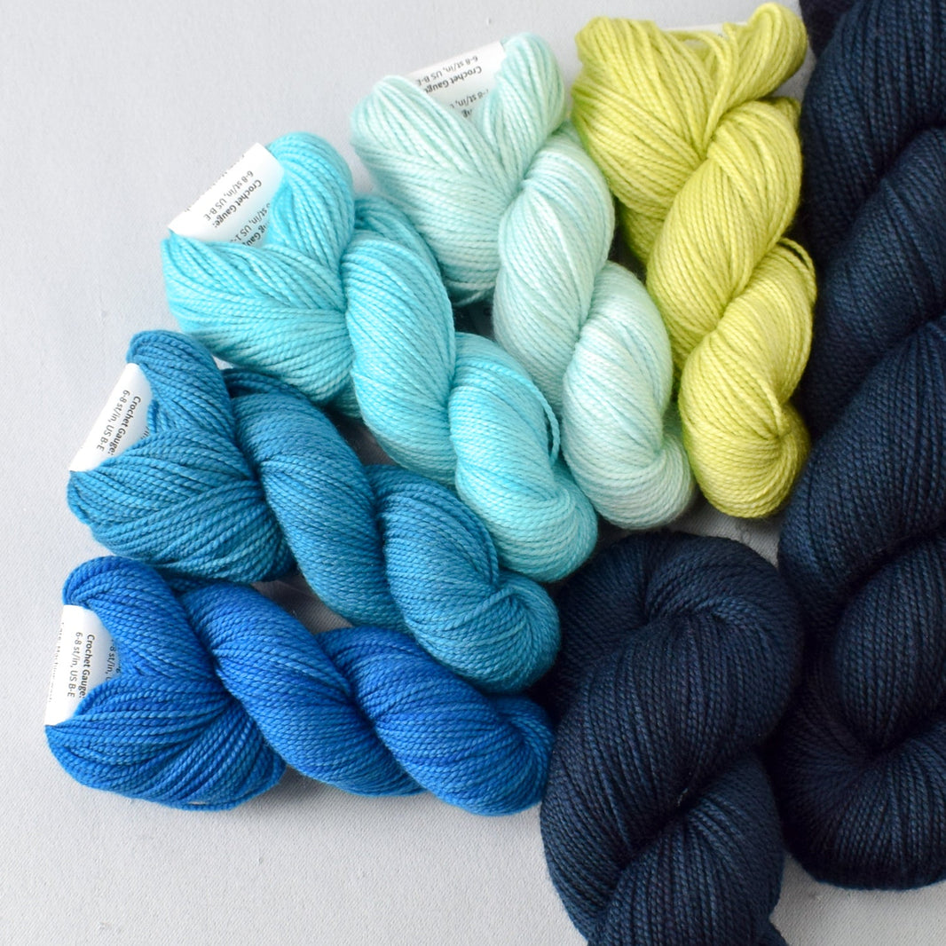 Show Your Colors – Miss Babs