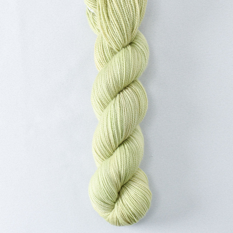 Yummy 2-Ply – Miss Babs